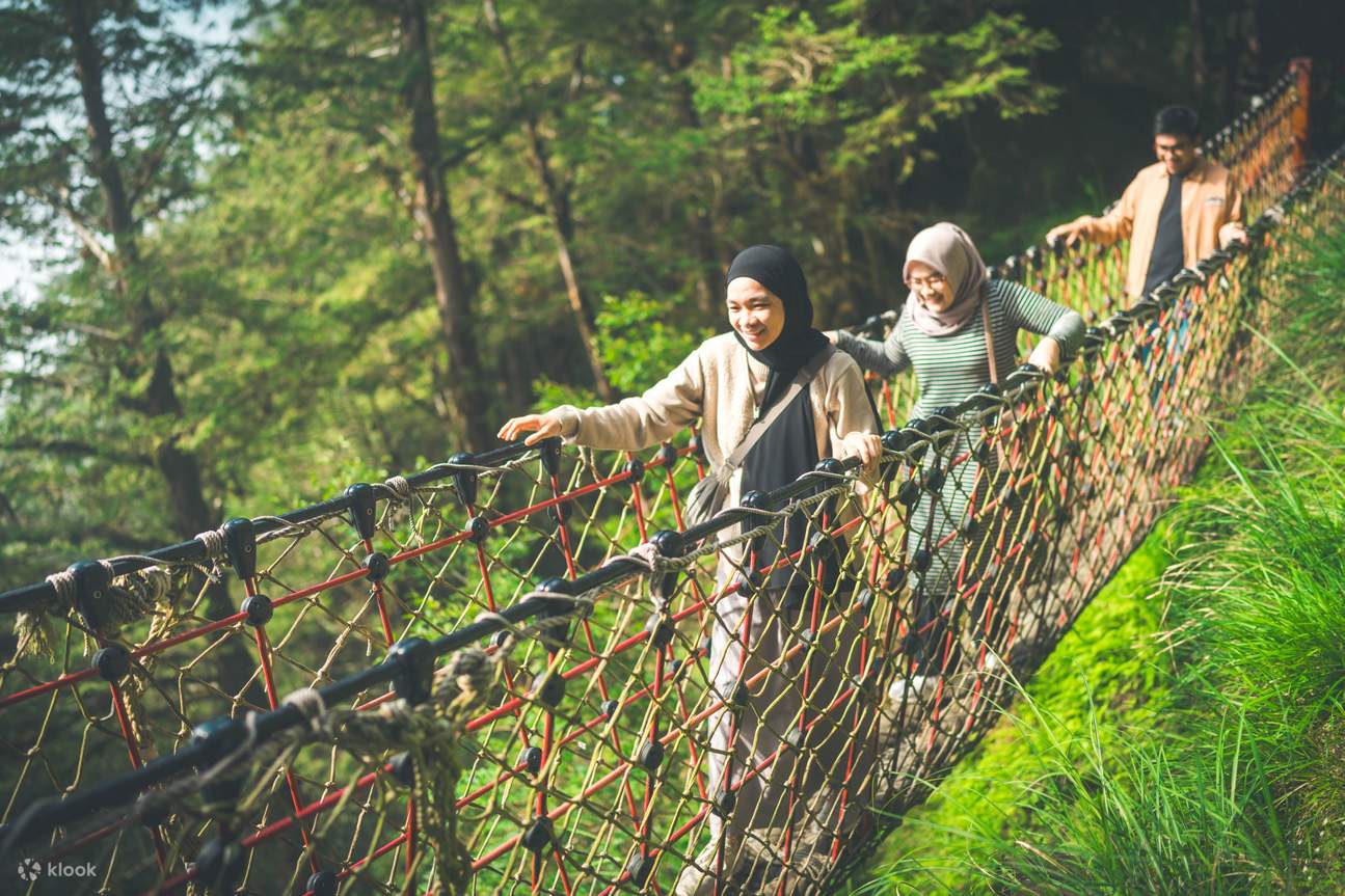 {Muslim Friendly] Taipingshan the captivating high mountain - Klook ...